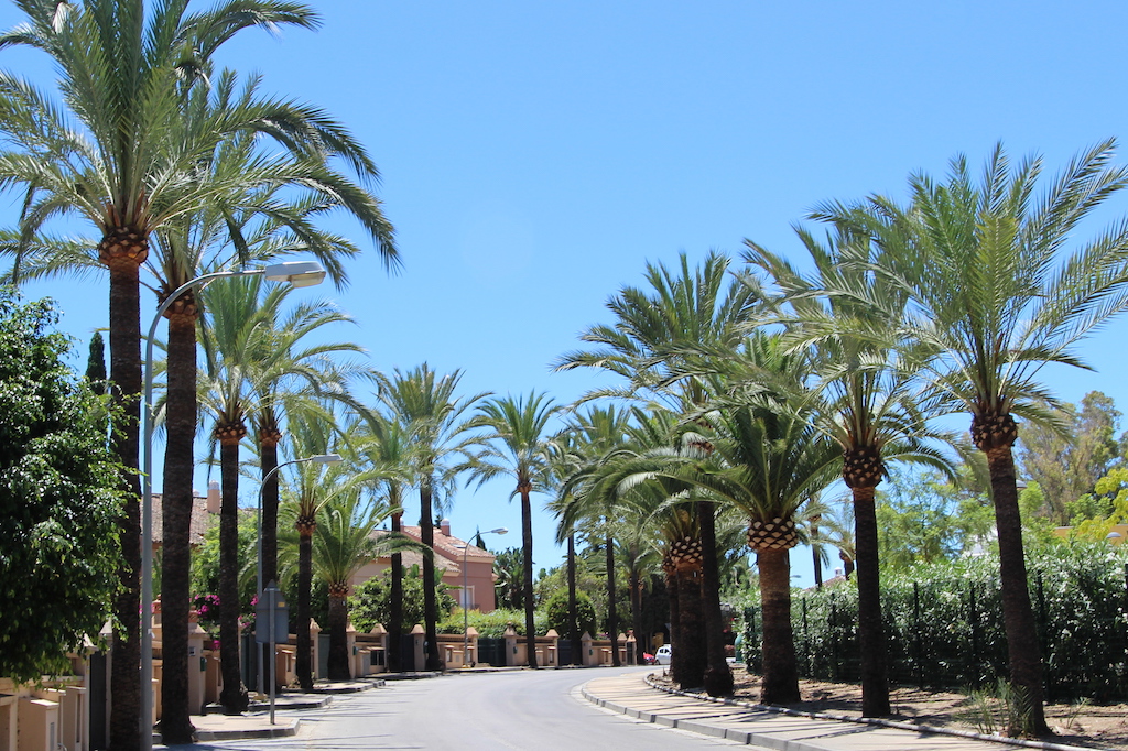 Marbella Guadalmina